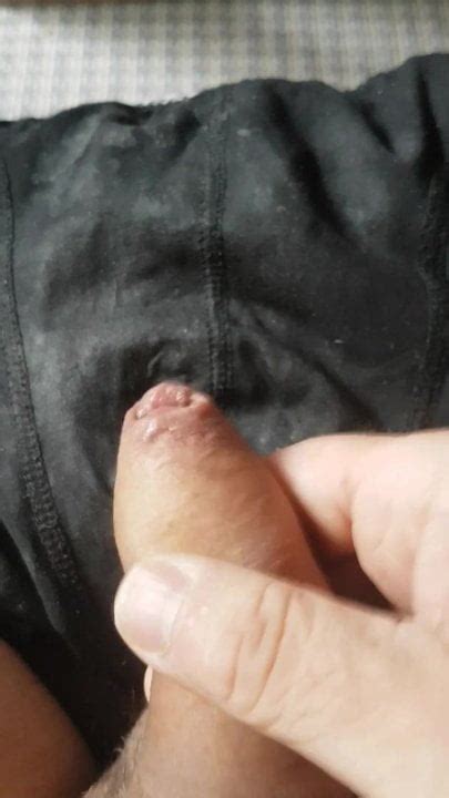 Cum In Cum Stained Briefs Xhamster
