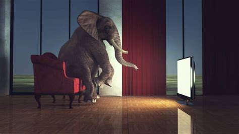 United States Postgresql Association On Linkedin Postgresql Postgres
