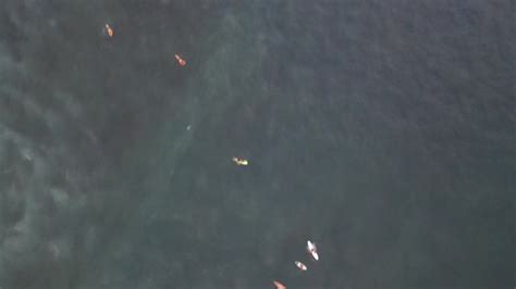 Aerial Top Down View Of Enjoy With Surfing In The Ocean In Bali