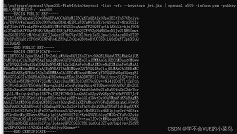 Jwt 生产rsa公钥秘钥jwt生成密钥工具 Csdn博客