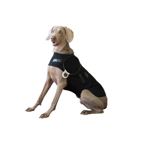 Assisi Loop Aid Torso Wrap Long Dlc