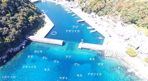 千畳敷 紀伊半島磯釣り空撮情報