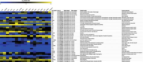 Meta Analysis Of Expression Data For Unannotated Genes That Have Been Download Scientific