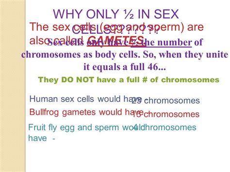 Reproduction Mitosis And Meiosis Ppt Video Online Download
