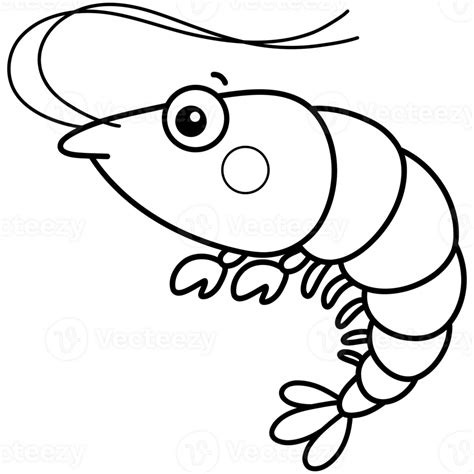 Cute Shrimp Doodle 49081110 Png