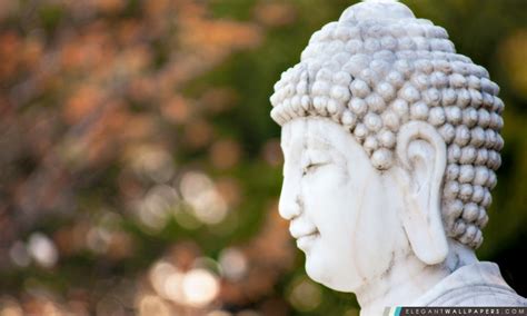 Bouddha Fond Décran Hd à Télécharger Elegant Wallpapers