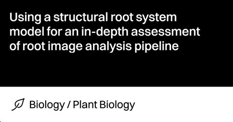 Using A Structural Root System Model For An In Depth Assessment Of Root