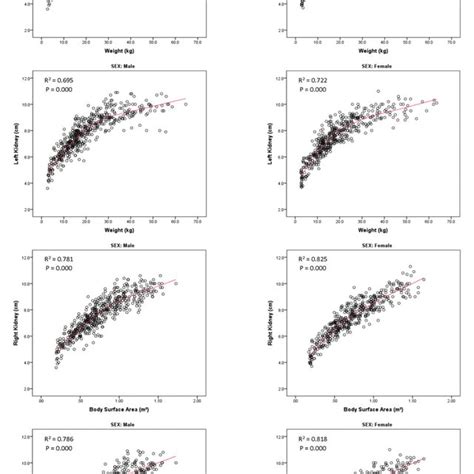 B Male Vs Female Renal Growth Curve By Weight And Body Surface Area