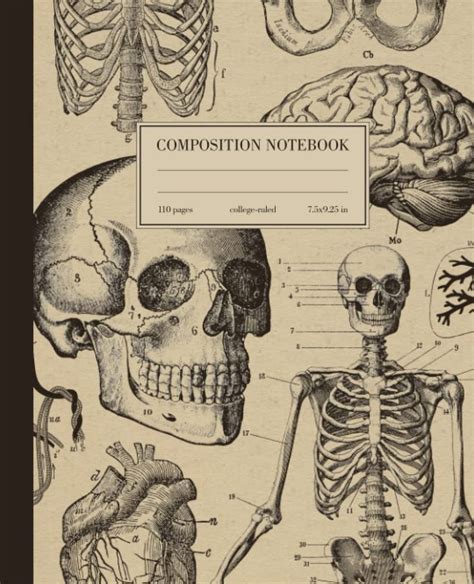 Composition Notebook College Ruled Human Anatomy Vintage Medical
