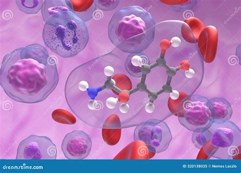 Noradrenaline Na Norepinephrine Ne Molecule It Is A Ho Cartoon