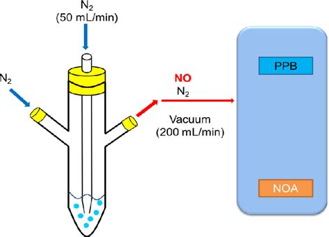 Implantable Amperometric Glucoselactate Sensors With Nitric Oxide