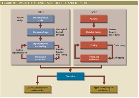 Database Design Thartmanoftheredwoods Wiki