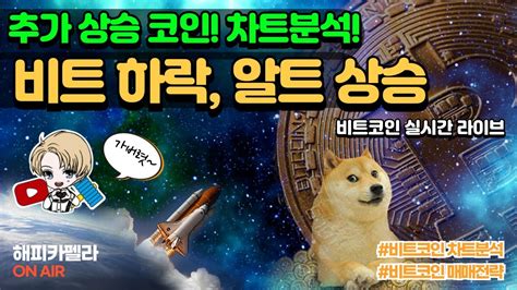 비트코인 실시간 비트하락 알트 상승 추가 상승 코인은 차트분석 13 저녁💎비트코인 비트코인실시간 이더리움 리플