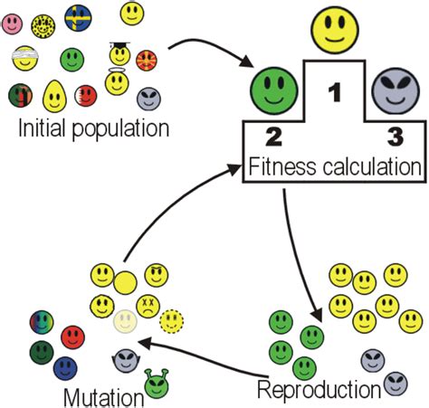 Illustration Of Evolutionary Search Download Scientific Diagram
