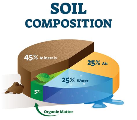 Soil Amendments How To Use Them For A Healthier Lawn