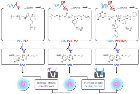 Comparing Zwitterionic And Peg Exteriors Of Polyelectrolyte Complex Micelles