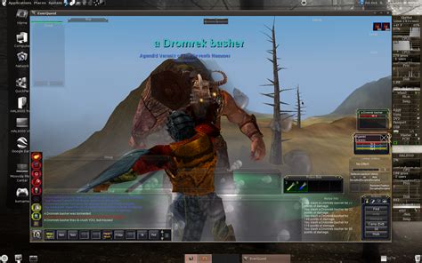 Will Everquest Run On Mac Or Linux Codeweavers