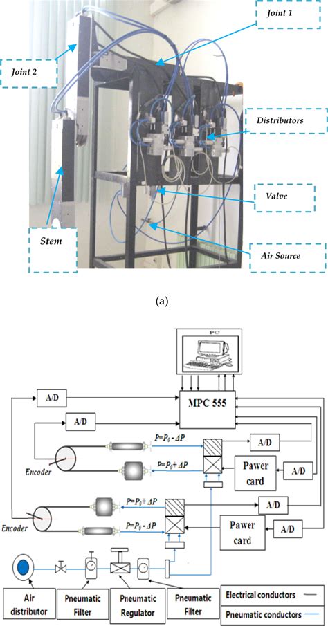 A 2 Dof Robot Actuated By The Muscles B Detail Architecture Of The Download Scientific