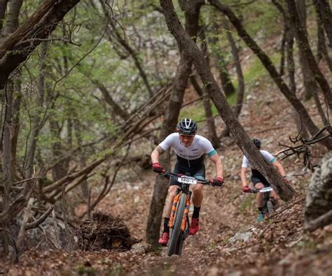 Strong bodies, strong minds: How does Megatrend contribute? - Megatrend