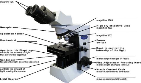 Different Types Microscope Different Types