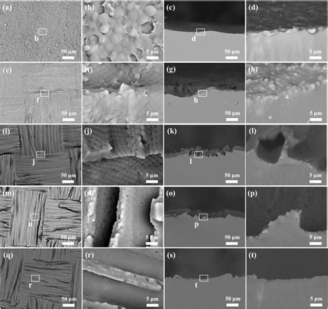 The Positive Pdms Replicas Of Cpmfs Prepared From Different Solution Download Scientific