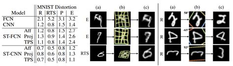 Reducing Image Distortion Using Spatial Transformer Network