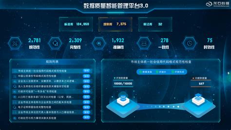 数据质量智能管理平台30预发布 龙石数据