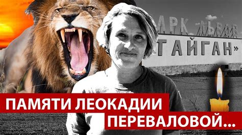 ТРАГИЧЕСКИ ПОГИБЛА УПРАВЛЯЮЩАЯ САФАРИ ПАРКА ТАЙГАН ЛЕОКАДИЯ ПЕРЕВАЛОВА Youtube