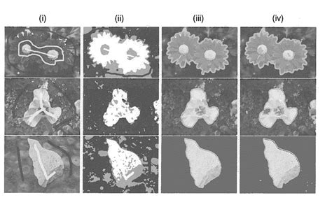 Method And Apparatus For Image Segmentation Eureka Patsnap