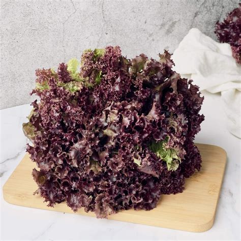 【綠十水耕生菜】紅捲150g、生菜、沙拉、萵苣、水耕蔬菜 綠十水耕生菜｜其他人氣榜 Pinkoi