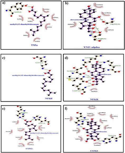 In Silico Docking Analysis Of Et With Inflammatory Markers In Silico Download Scientific