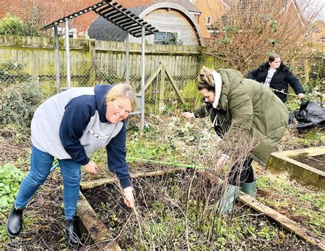 Westbury Leigh Primary The School With Its Own Farm… The Bath And