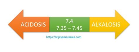 Interpreting Acid Base Disorders Vocational Training Flashcard Quizizz
