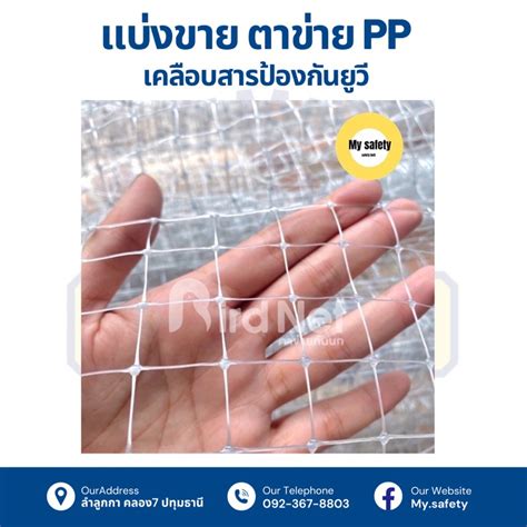 Pp Bird Netting Contains Anti Uv Agent Clear Color Width 2 Meters