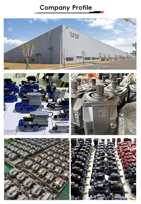 High Quality A10vo Series Hydraulic Axial Piston Pump Parts A10vo45