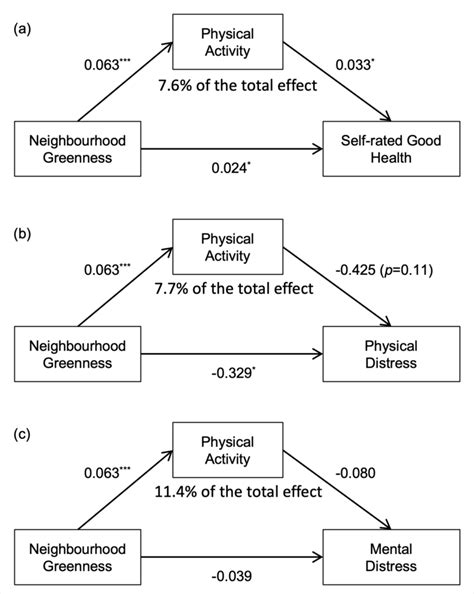 Mediating Role Of Physical Activity On The Relationships Between An