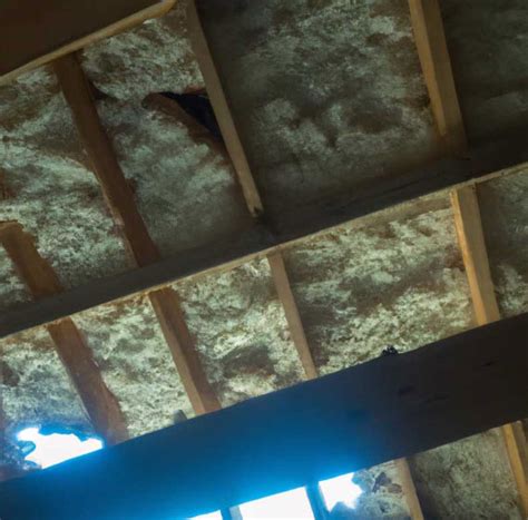 The Complete Insulation Aftercare Guide Insulation Superstore Help