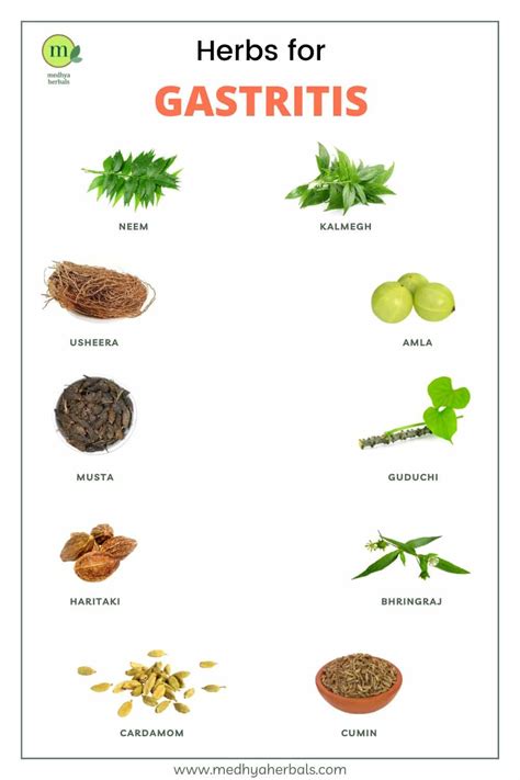What Is The Herbal Medicine For Gastritis At Steven Broadnax Blog
