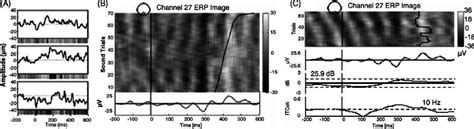 Erp Image Construction A Erp Image Plots Are Constructed By Download Scientific Diagram