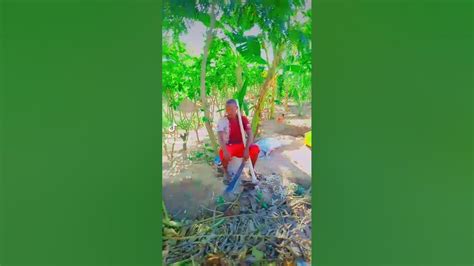 Team Ladish Band Youtube