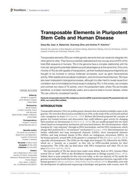Pdf Transposable Elements In Pluripotent Stem Cells And Human Disease