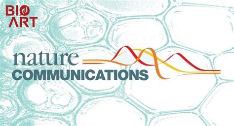 Nature Commun 沈阳农业大学王爱德团队揭示长链非编码rna调控苹果亚科乙烯依赖型和非依赖型果实形成之谜 知乎