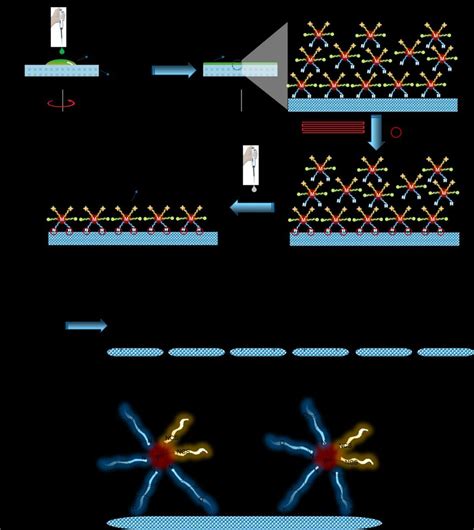 Fig S1 Anchoring Of Dyes Onto Metal Oxides A Schematic Download Scientific Diagram