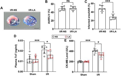 Activation Of Nrf By Lithospermic Acid Ameliorates Myocardial Ischemia And Reperfusion Injury
