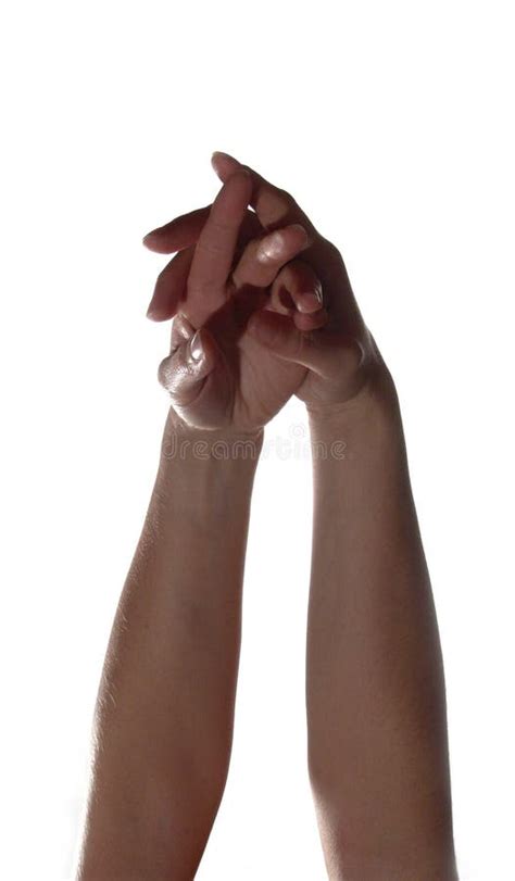 Arm Stock Image Image Of Hair White Attractive Erotic