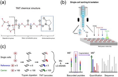 Figure 2 From Advances In Mass Spectrometry Based Single Cell Analysis Semantic Scholar