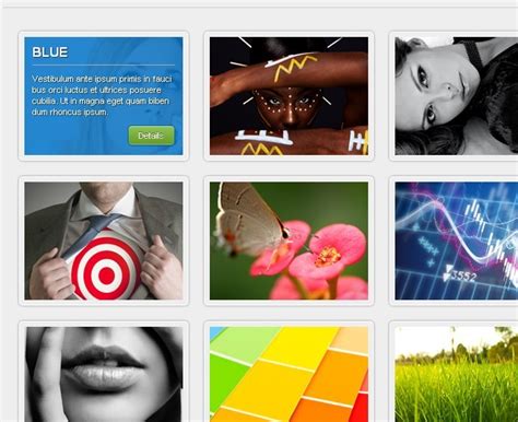 Ihc Portfolio Css3 Image Hover Caption By Awps Codecanyon