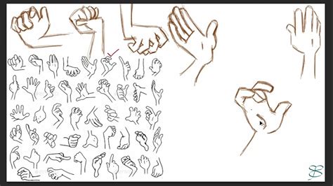 Hand Reference Drawing
