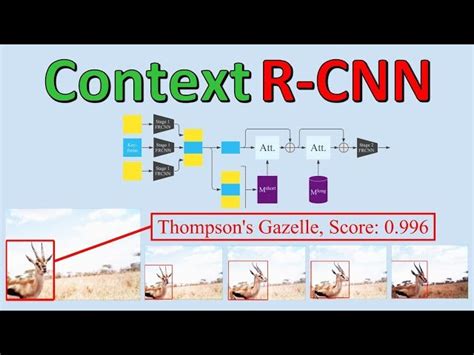 Free Video Context R Cnn Long Term Temporal Context For Per Camera Object Detection From