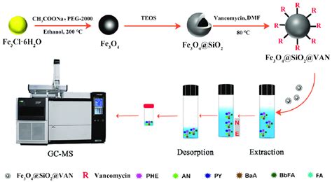 Scheme 1 Schematic Procedure For Fe 3 O 4 Sio 2 Van Magnetic Download Scientific Diagram